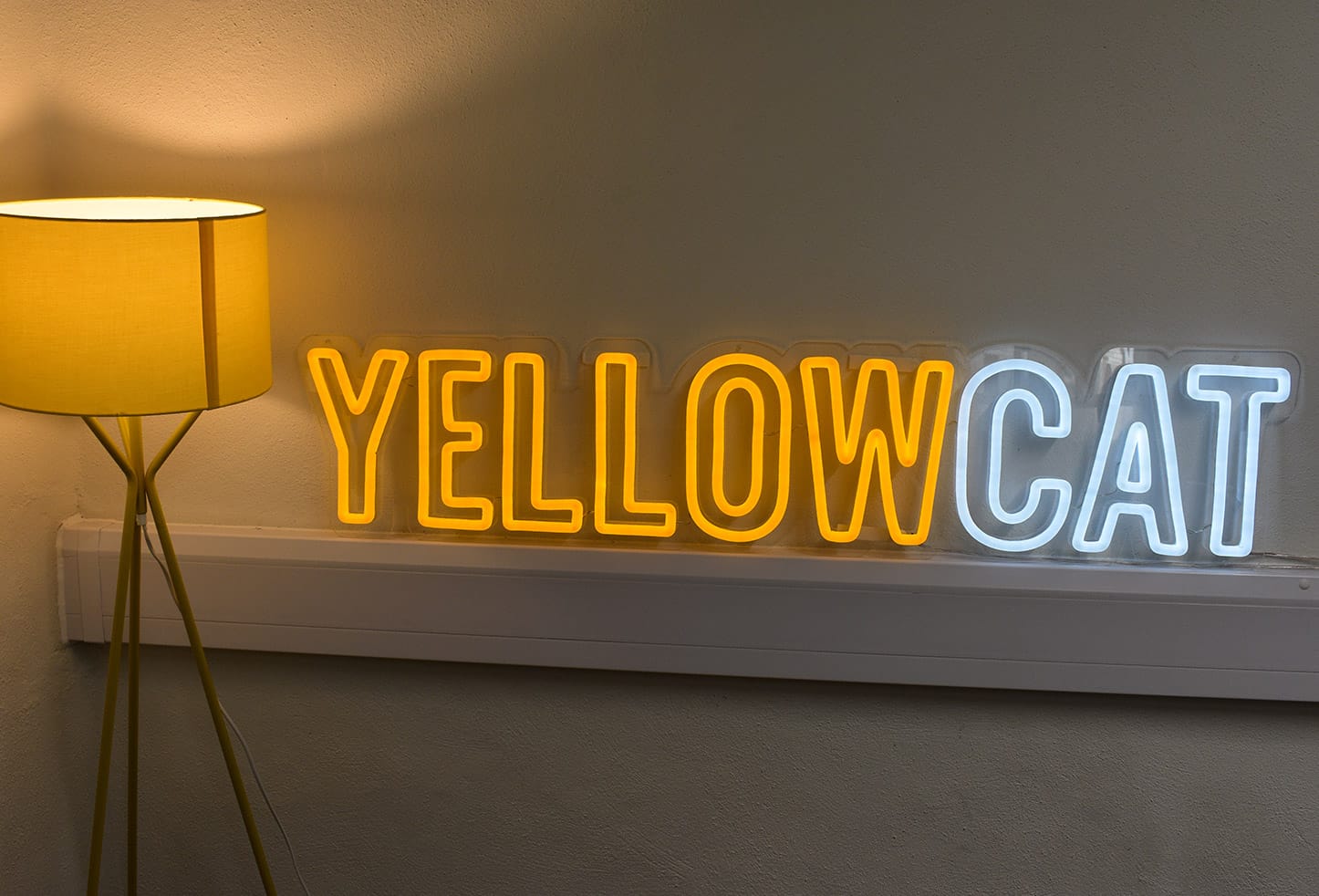 Create's partnership with Yellow Cat - Create (Arts) Limited